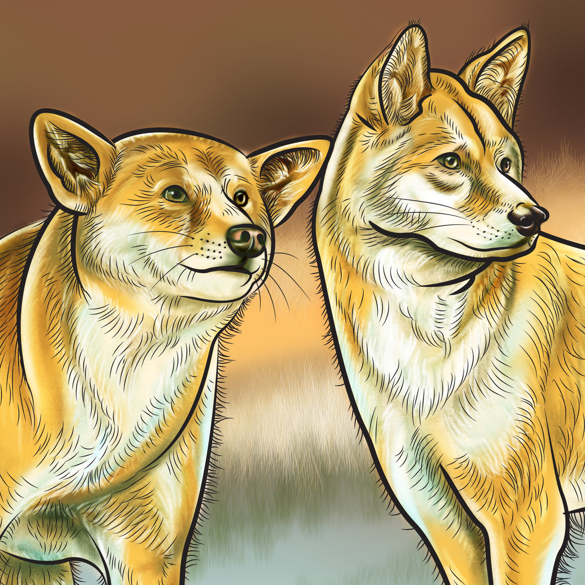 Dingoes in the Wild Downloadable Print – Drawing with Pri