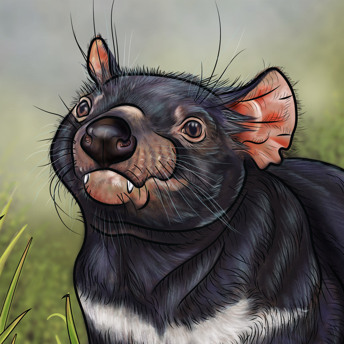 Tasmanian Devil Downloadable Print – Drawing with Pri